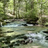 Greeter Falls Loop, Tennessee - 1,348 Reviews, Map | AllTrails