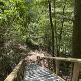 Greeter Falls Loop, Tennessee - 1,348 Reviews, Map | AllTrails