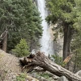 Treasure Falls Trail, Colorado - 1,310 Reviews, Map | AllTrails