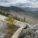 Welch-Dickey Loop Trail, New Hampshire - 7,098 Reviews, Map | AllTrails