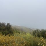 Ocean Overlook Loop, California - 1,003 Reviews, Map | AllTrails