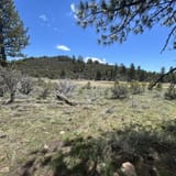 Dry Pond Loop, Nevada - 1,505 Reviews, Map | AllTrails