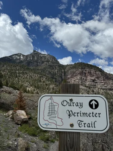 Best Fishing Trails in Ouray | AllTrails