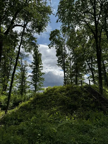 Best Walking Trails in Catharpin | AllTrails