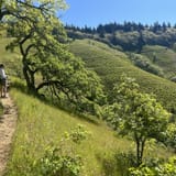Weldon Wagon Road Trail, Washington - 532 Reviews, Map | AllTrails