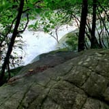 Savage Falls, Tennessee - 819 Reviews, Map | AllTrails