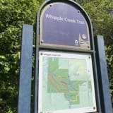 Whipple Creek Park Loop Trail, Washington - 1,852 Reviews, Map | AllTrails