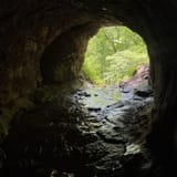 Patton Cave Loop Via Grubb Ridge, Indiana - 269 Reviews, Map | AllTrails