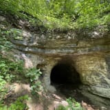 Patton Cave Loop Via Grubb Ridge, Indiana - 273 Reviews, Map | AllTrails