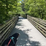 Iron Hill Loop, Georgia - 5,049 Reviews, Map | AllTrails