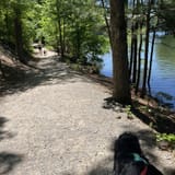 Iron Hill Loop, Georgia - 5,049 Reviews, Map | AllTrails