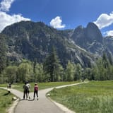 Sentinel Meadow Cook's Meadow Loop Trail, California - 3,211 Reviews ...