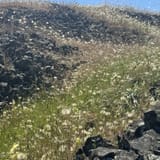 Phantom Falls Loop, California - 1,127 Reviews, Map | AllTrails