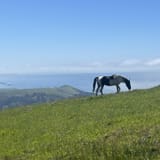 Sea to Sky to Raptor Ridge Loop, California - 1,323 Reviews, Map ...