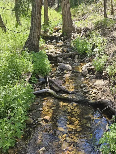 Best Hikes and Trails in Rimforest | AllTrails