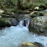 Rainbow Falls Trail, South Carolina - 2,745 Reviews, Map | AllTrails