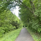 Cub Run Stream Valley Trail, Virginia - 453 Reviews, Map | AllTrails