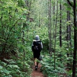 Pin-Chin-Sky Loop, Alabama - 677 Reviews, Map | AllTrails