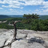 Stone Mountain Loop Trail, North Carolina - 3,332 Reviews, Map | AllTrails