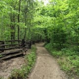 Cat Gap Trail to John Rock Loop, North Carolina - 2,151 Reviews, Map ...