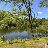 Erwin Linear Trail, Tennessee - 123 Reviews, Map | AllTrails