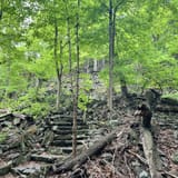 Palisades Long Path Loop, New Jersey - 2,025 Reviews, Map | AllTrails