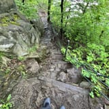 Palisades Long Path Loop, New Jersey - 2,025 Reviews, Map | AllTrails
