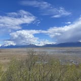 Scout Ridge Trail, Alaska - 280 Reviews, Map | AllTrails