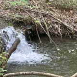 Lula Lake Land Trust Durham Trail System, Georgia - 102 Reviews, Map ...