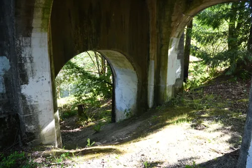 Best River Trails in Maple Valley | AllTrails