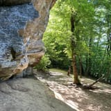 Raven Rock Loop Trail, North Carolina - 2,627 Reviews, Map | AllTrails