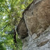 Raven Rock Loop Trail, North Carolina - 2,609 Reviews, Map | AllTrails