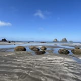 Rialto Beach Trail, Washington - 349 Reviews, Map | AllTrails