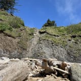 Rialto Beach Trail, Washington - 349 Reviews, Map | AllTrails