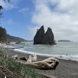 Rialto Beach Trail, Washington - 349 Reviews, Map | AllTrails