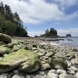 Rialto Beach Trail, Washington - 349 Reviews, Map | AllTrails