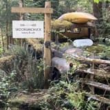 Skookumchuck Narrows, British Columbia, Canada - 1,069 Reviews, Map ...