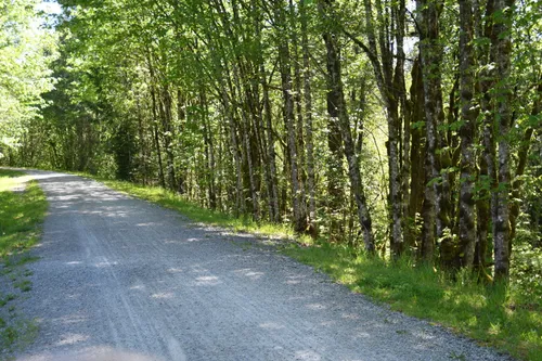 Best River Trails in Maple Valley | AllTrails