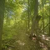 Rocks and Roots South Loop, Ohio - 1,244 Reviews, Map | AllTrails