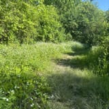 Rocks and Roots South Loop, Ohio - 1,244 Reviews, Map | AllTrails