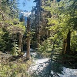 Heather Lake Trail, Washington - 5,835 Reviews, Map | AllTrails