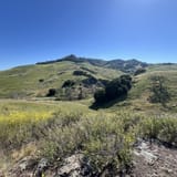 Johnson Ranch Loop, California - 1,004 Reviews, Map | AllTrails