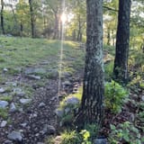 Mount Tammany via Red Dot and Blue Dot Loop Trail, New Jersey - 13,268 ...