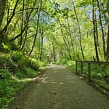 Milton Interurban Trail, Washington - 344 Reviews, Map | AllTrails