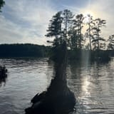 Little Gap Trail, South Carolina - 644 Reviews, Map | AllTrails