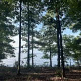 Little Gap Trail, South Carolina - 644 Reviews, Map | AllTrails