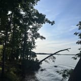 Little Gap Trail, South Carolina - 644 Reviews, Map | AllTrails