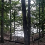 Little Gap Trail, South Carolina - 686 Reviews, Map | AllTrails