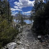 Spaulding Lake Trail, California - 1,338 Reviews, Map | AllTrails