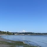 Marine View Park Loop Trail, Washington - 540 Reviews, Map | AllTrails